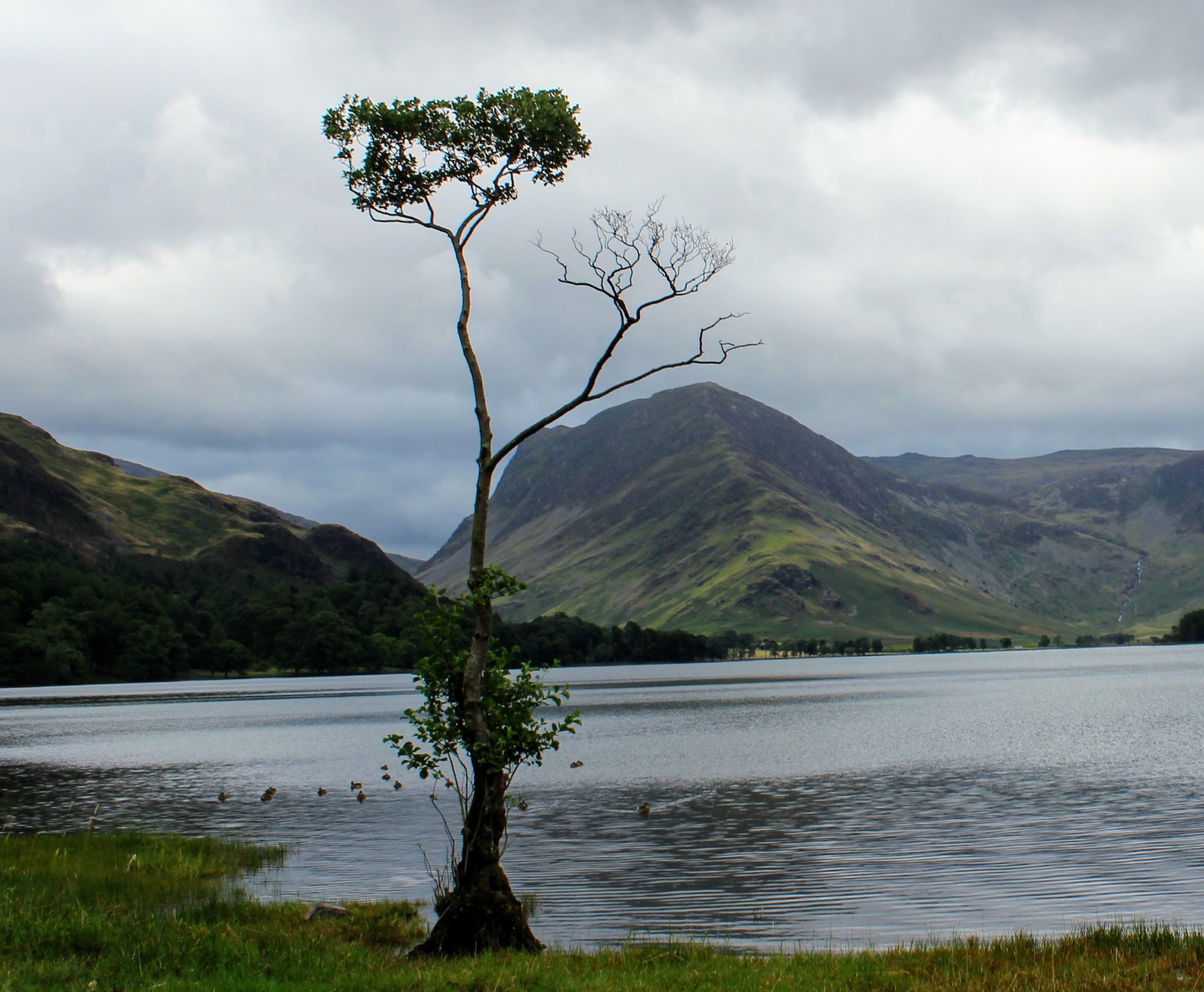 Fear not! - Rob Corcoran: Trustbuilding